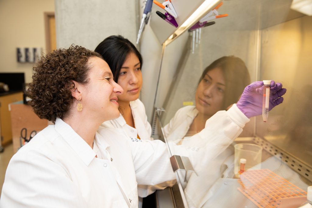 Major in Microbiology & Immunology – UC Irvine Department of Molecular ...